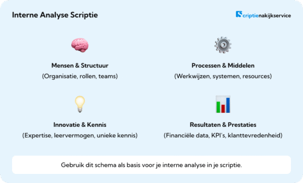 Interne analyse voor je scriptie maken met hulp van een expert